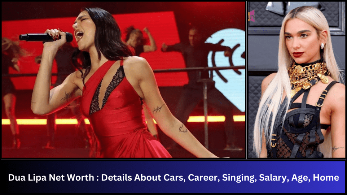 Dua Lipa Net Worth : Details About Cars, Career, Singing, Salary, Age ...